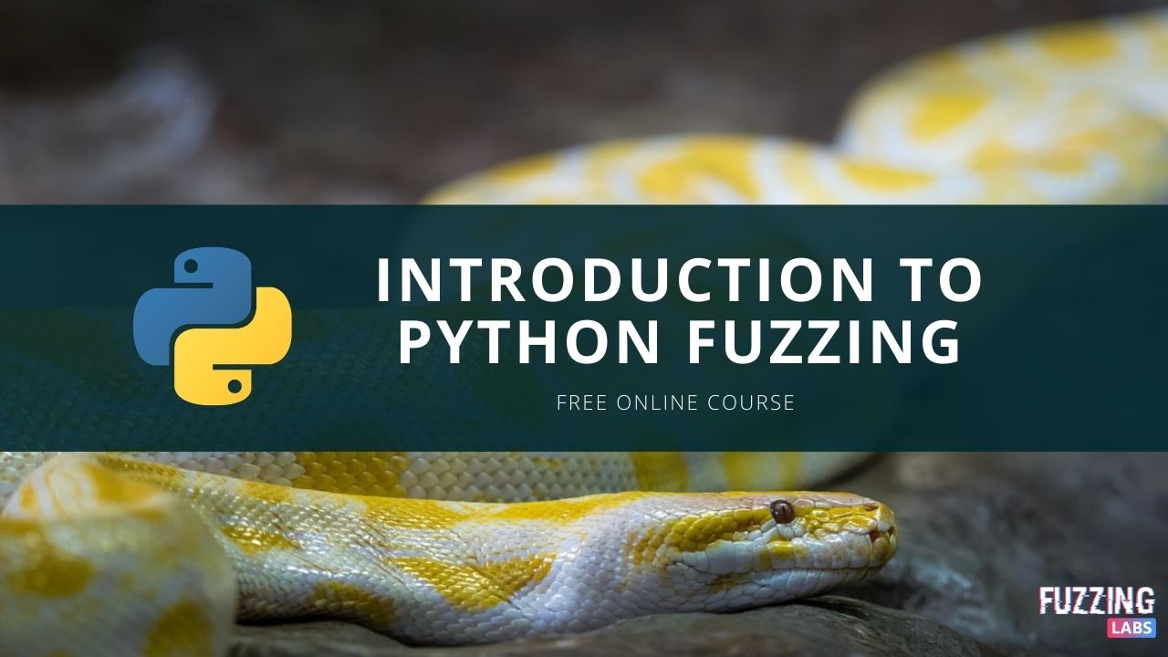 Introduction to Python Fuzzing