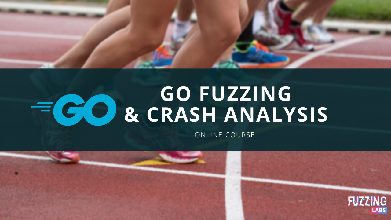 Go Fuzzing and Crash Analysis