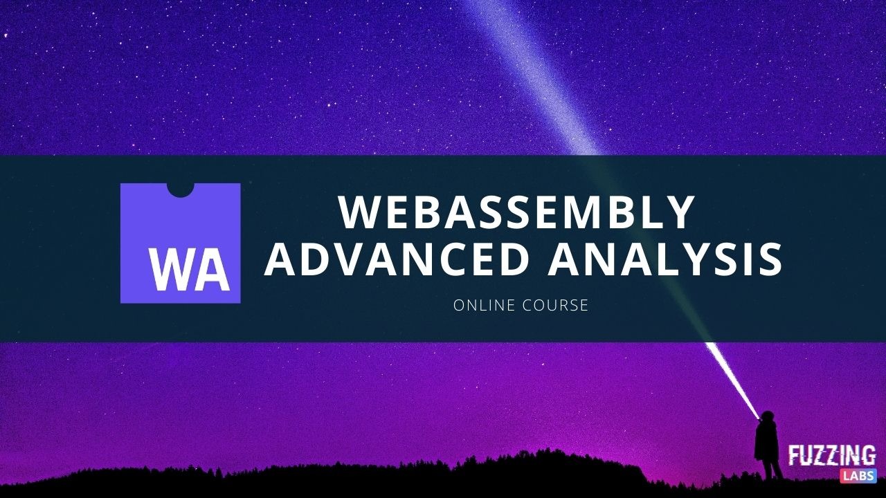WebAssembly Module Advanced Analysis