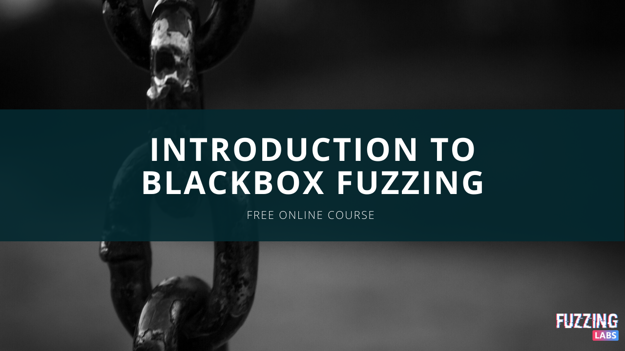 Fuzzing courses