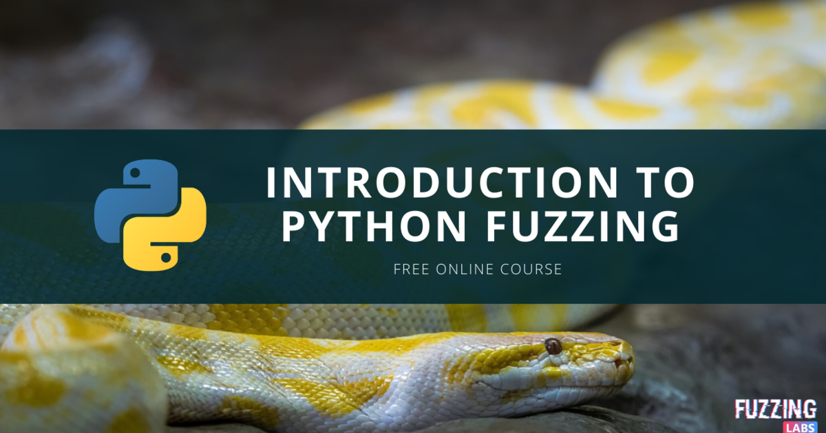Introduction to Python Fuzzing