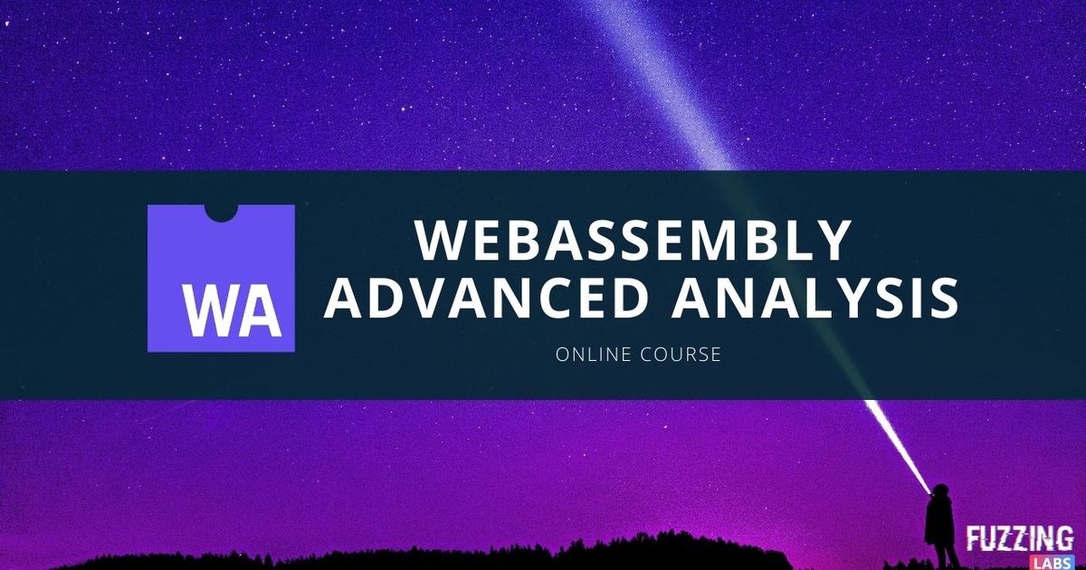 WebAssembly Module Advanced Analysis